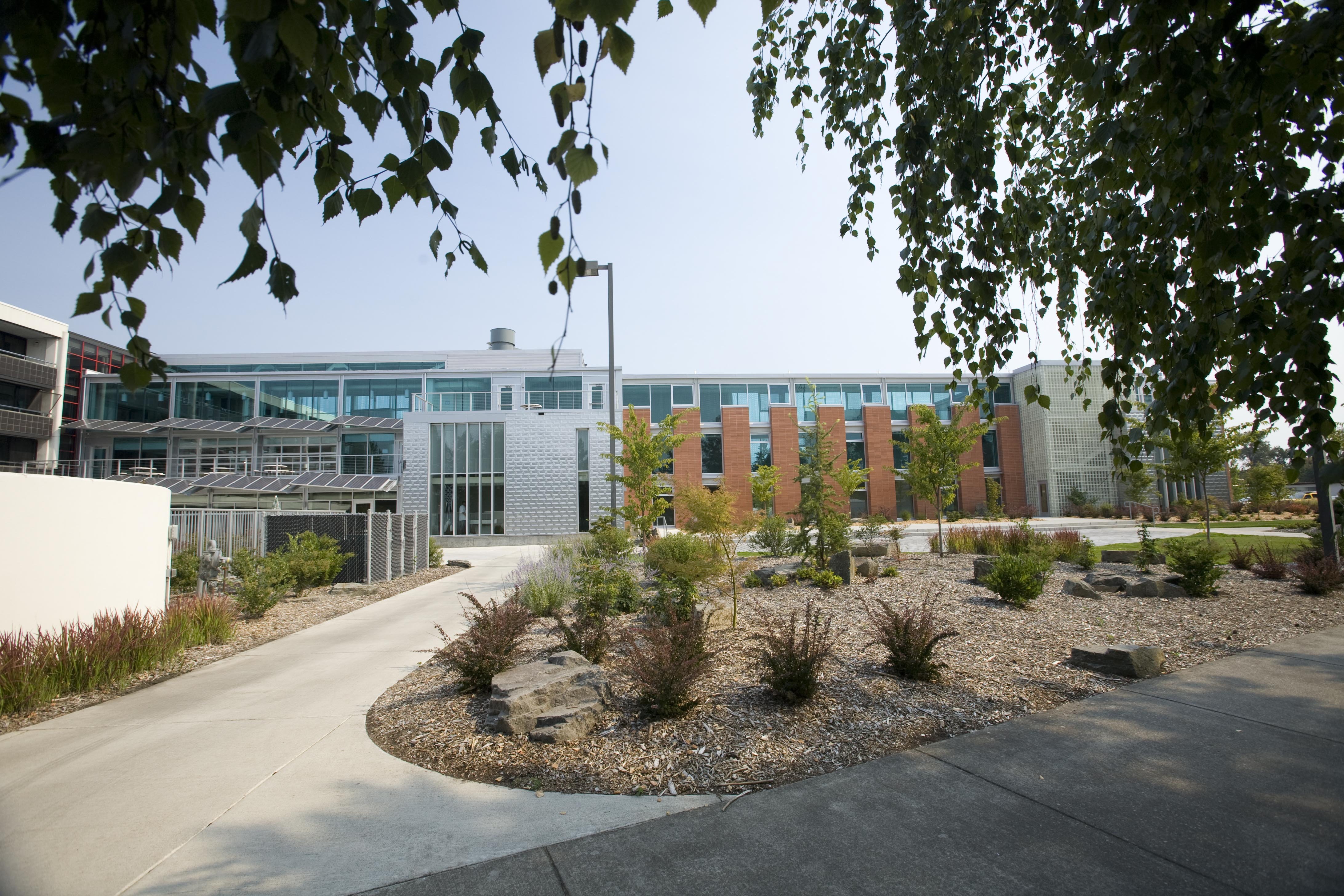 Tokyo International University of America