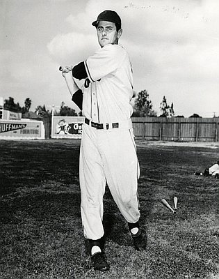 Portland Beavers (baseball team)